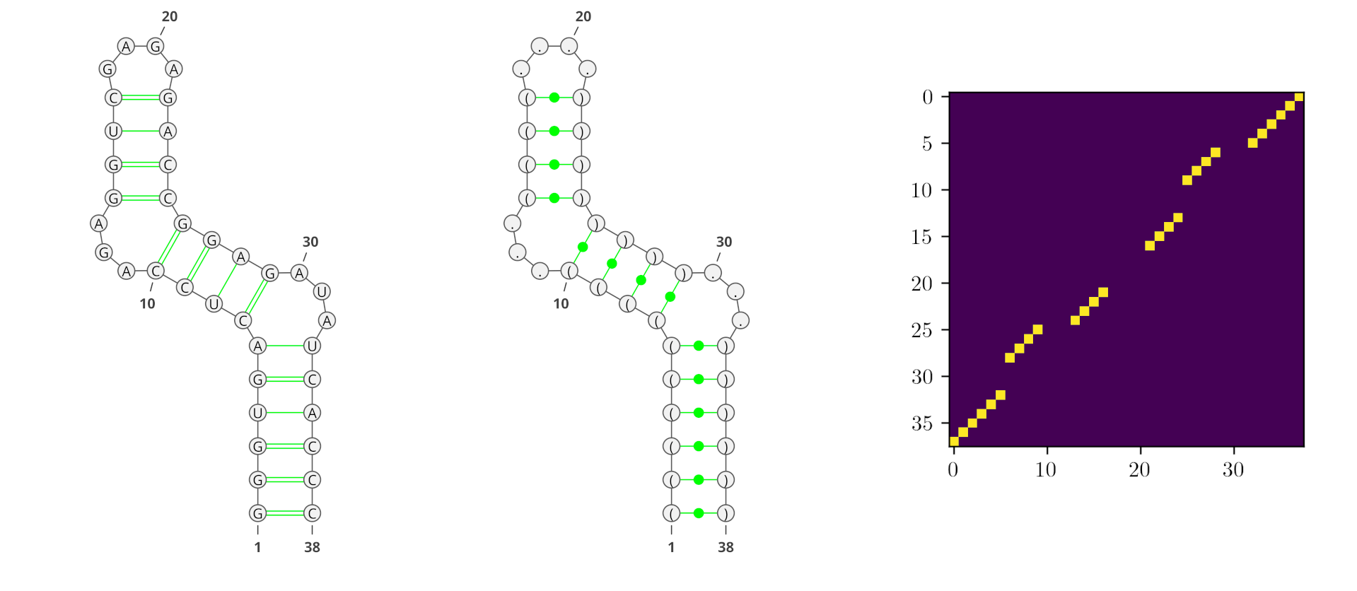 AutoML | Rethinking Performance Measures of RNA Secondary Structure ...